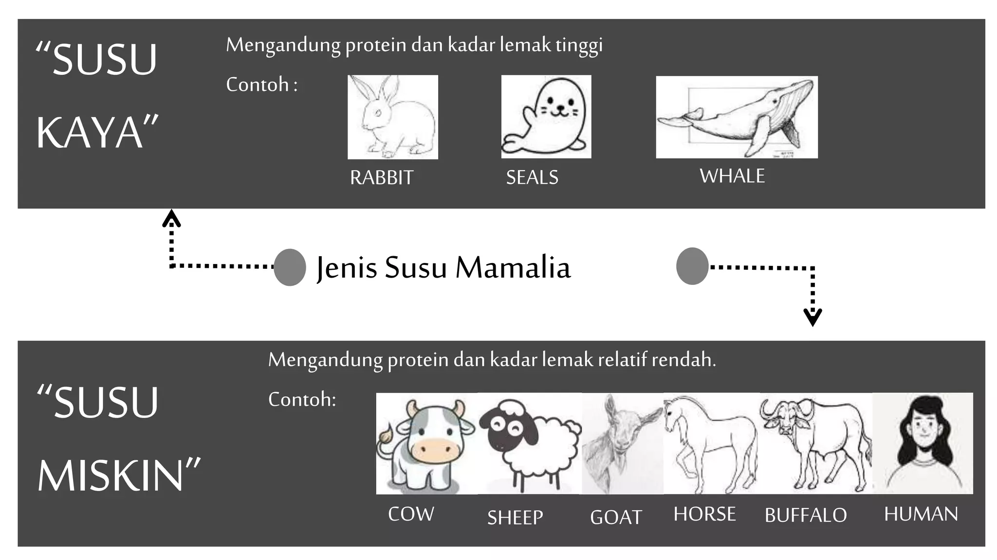 Susu - Ilmu Bahan Makanan | PPTX