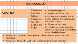Susu - Ilmu Bahan Makanan | PPTX
