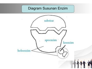 SUSUNAN ENZIM | PPT