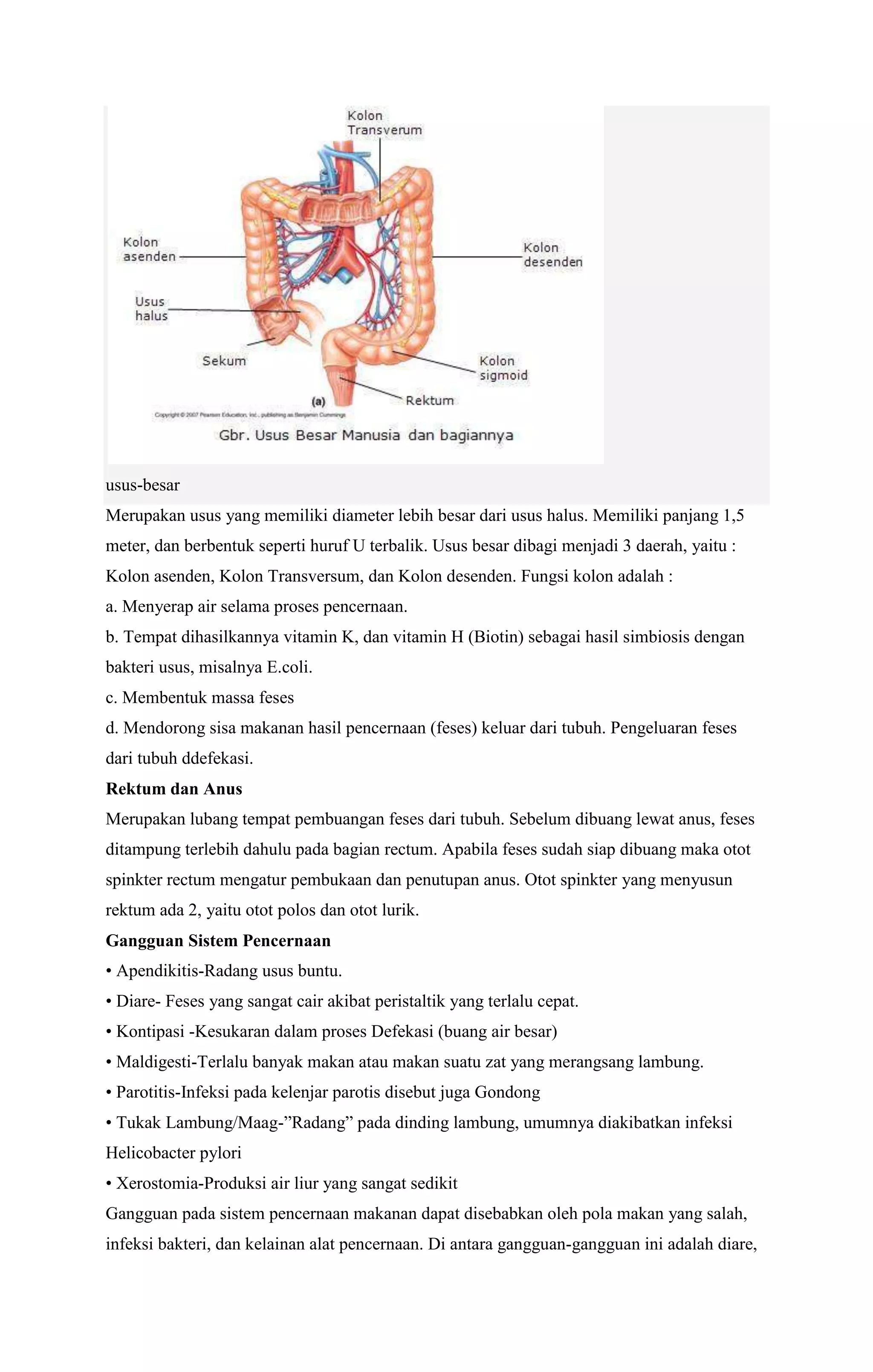 Susunan kerangka manusia | DOCX