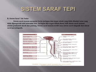 Susunan sistem saraf | PPT