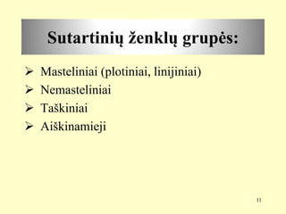 Sut. zenklai ir pav. vaizdavimas plokstumoje | PDF