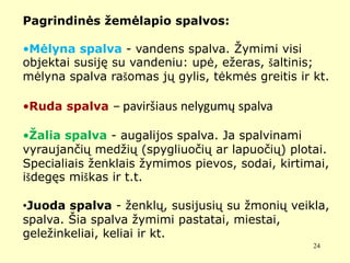 Sut. zenklai ir pav. vaizdavimas plokstumoje | PDF