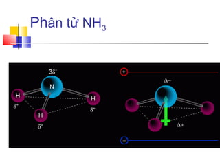 Su tao thanh h2 o nh3 | PPT