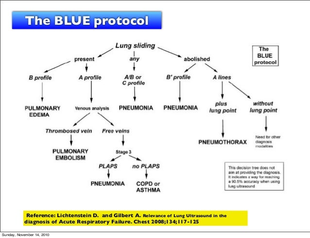 Airway and Breathing ultrasound