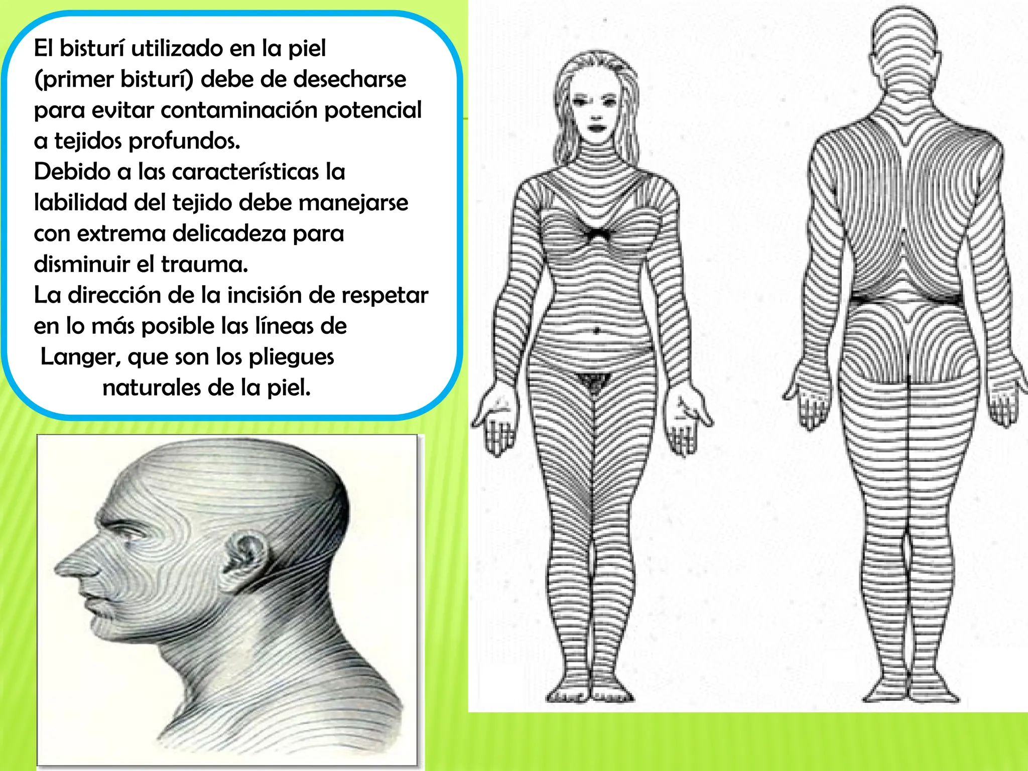 tecnicas de sutura, tipos de incisiones e hilos .pptx
