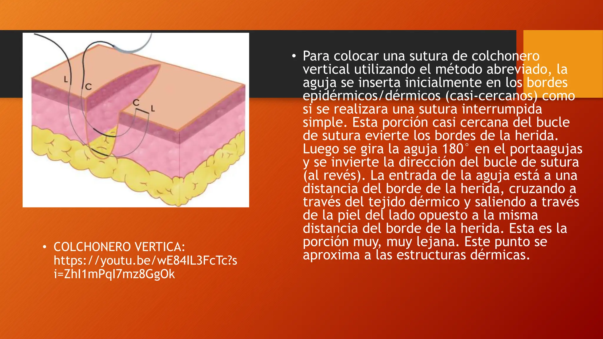 tecnica quirurgica suturas y heridas 2.pptx
