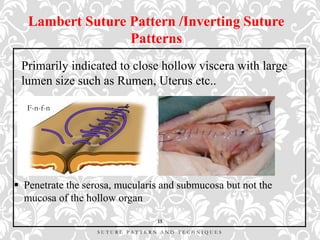 Suture paterns & knots | PPT