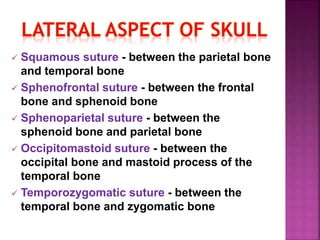 Sutures | PPTX