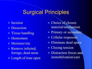 Sutures.ppt