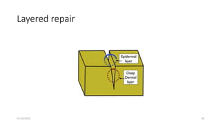 SUTURES, SUTURING TECHNIQUES AND WOUND MANAGEMENT.pptx