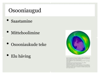 Suur pauk | PDF