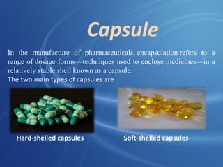 In plant training report | PPT