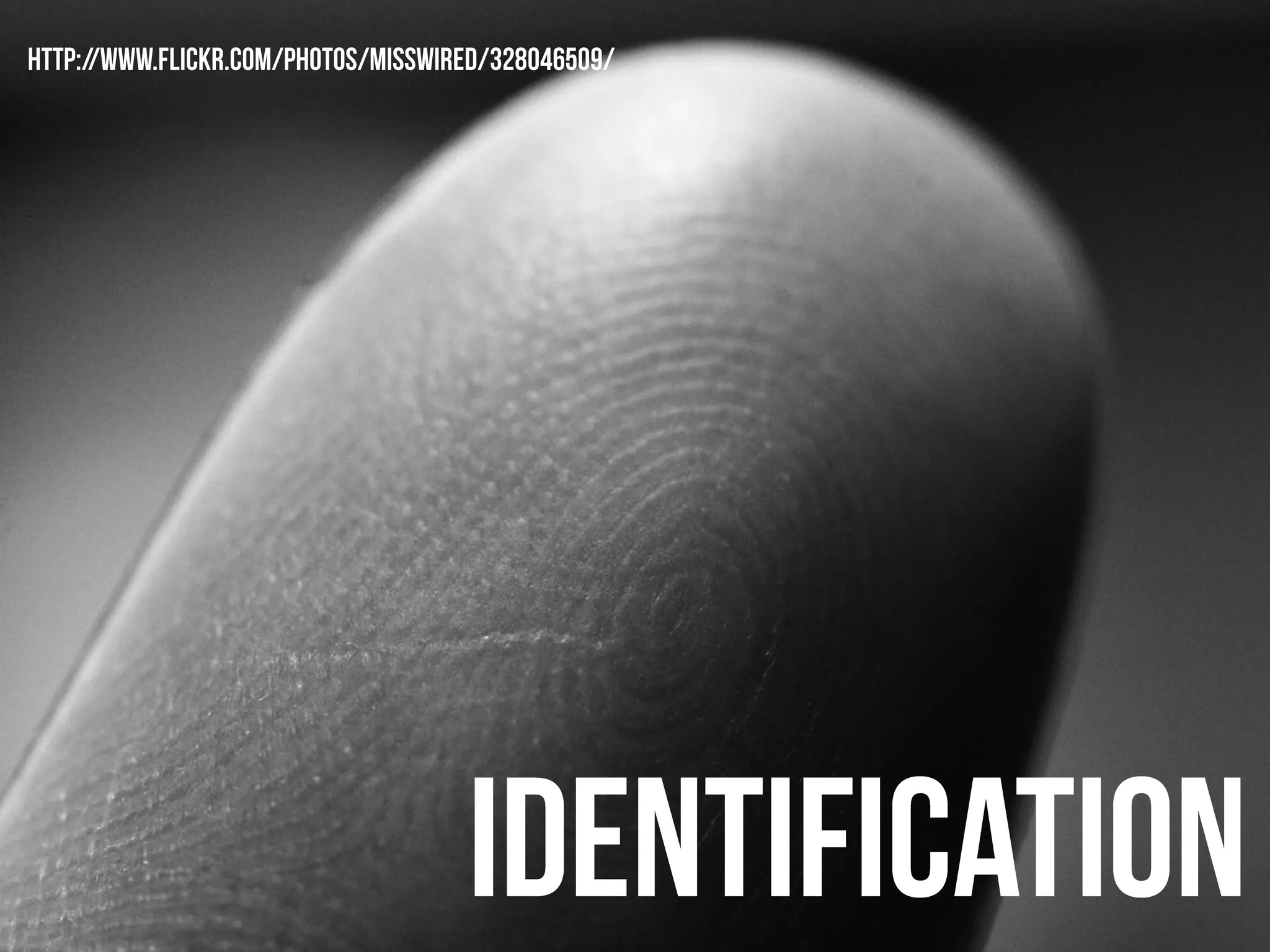 Anatomy of File Analysis and Decomposition Engine | PDF