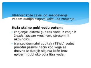 Suva koza skracena prezentacija u plavoj | PPT