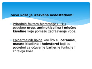 Suva koza skracena prezentacija u plavoj | PPT