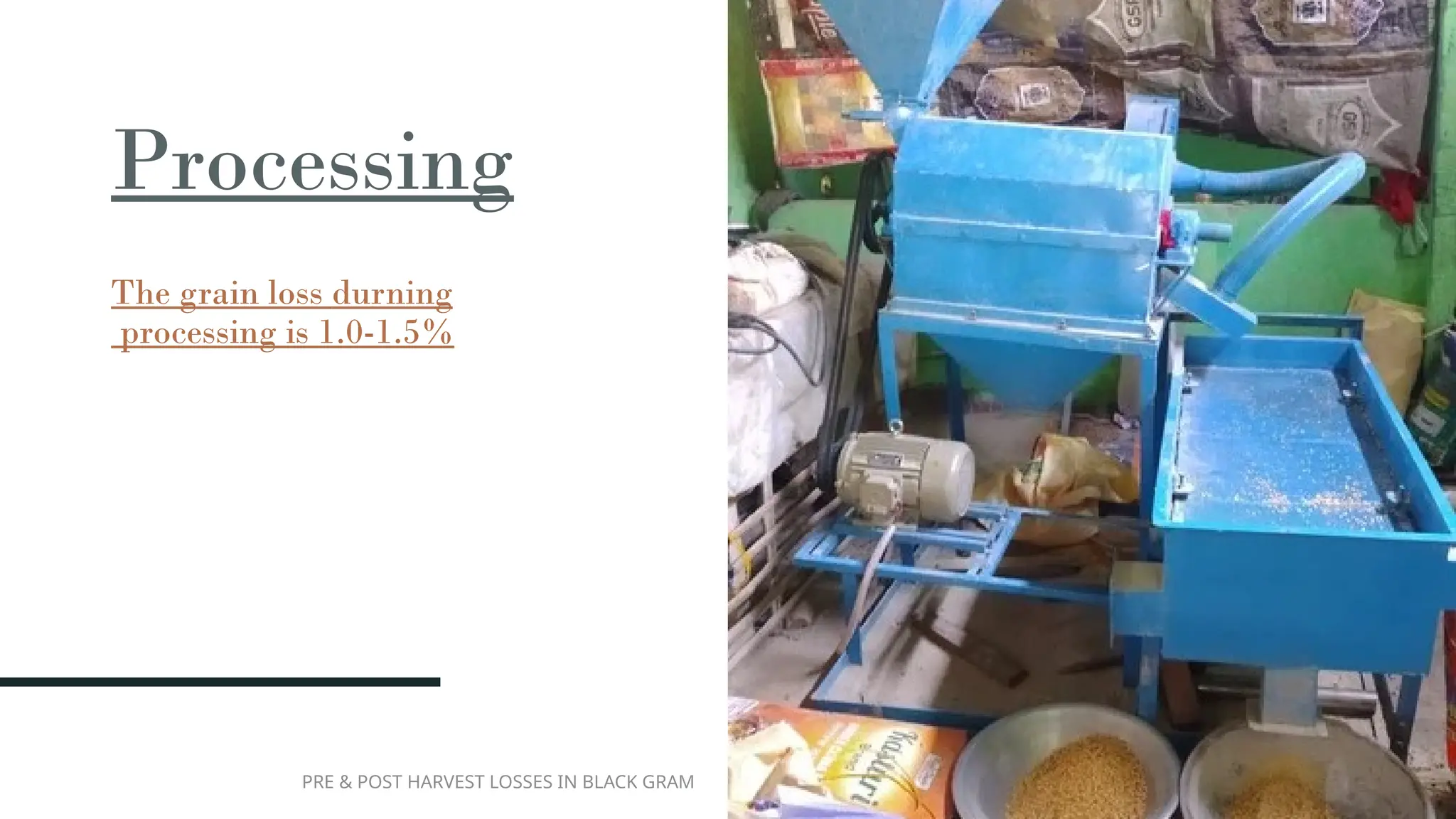 Pre and post harvest losses in black gram | PPTX