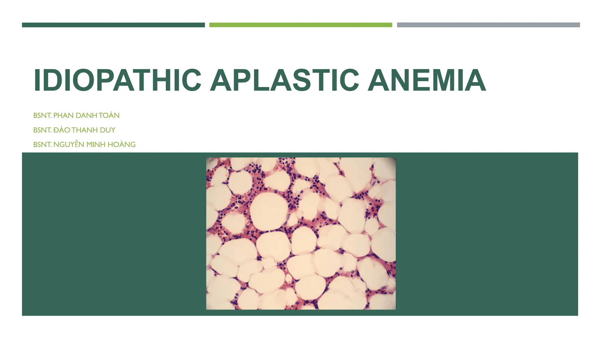 Suy-tuỷ-vô-căn-slides huyet hoc ..pdf.pdf