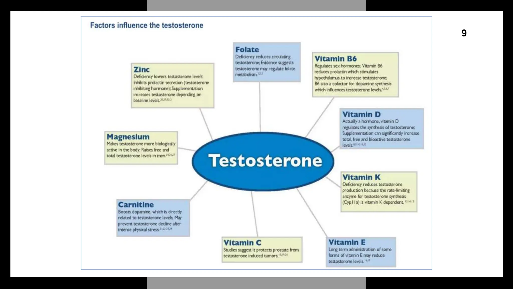 Male Sex Hormones Biosynthesis Functions Pptx