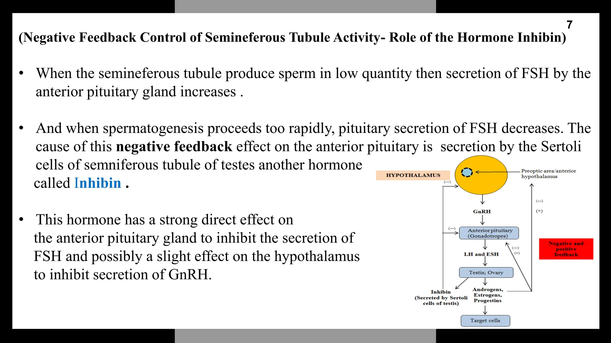 Male sex hormones biosynthesis,functions. | PPTX
