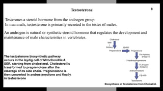Male sex hormones biosynthesis,functions. | PPTX