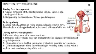 Male sex hormones biosynthesis,functions. | PPTX