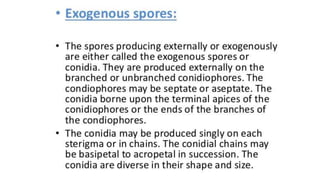 Reproduction & Replication of Fungi and Virus | PPTX