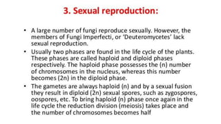 Reproduction & Replication of Fungi and Virus | PPTX