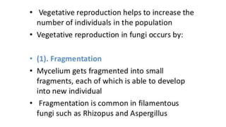 Reproduction & Replication of Fungi and Virus | PPTX
