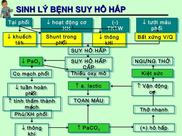 Suy hô hấp sơ sinh | PPT