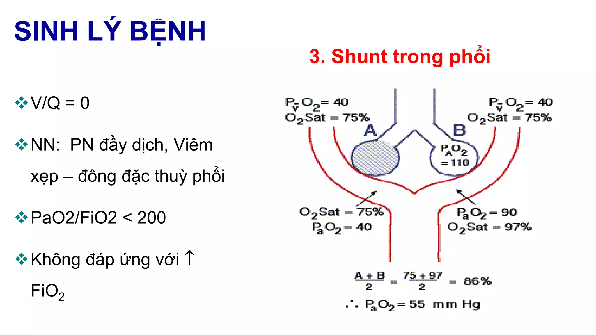 Suy hô hấp sơ sinh - 2019 - Đại học Y dược TPHCM | PDF