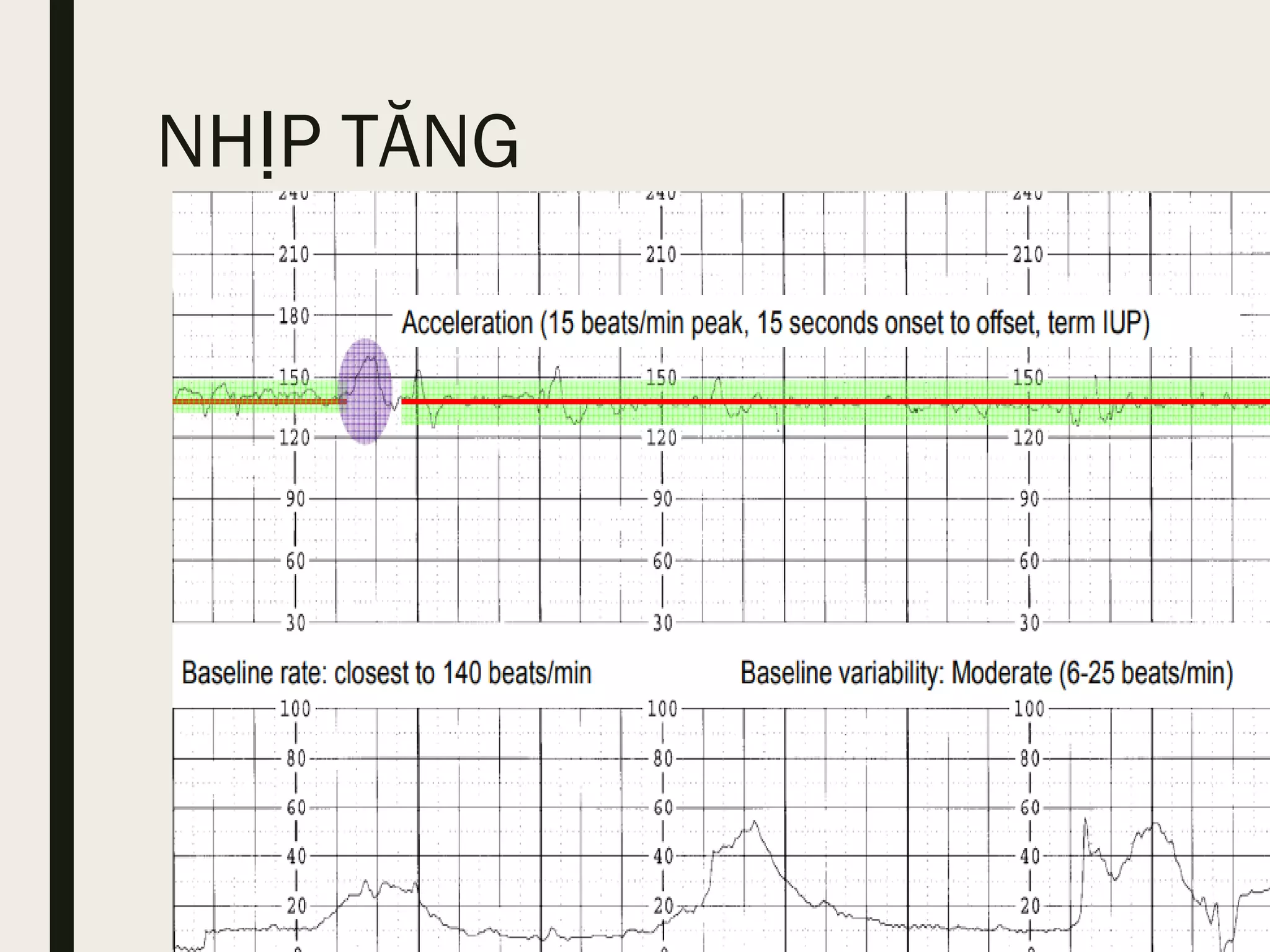 SUY THAI CẤP | PDF