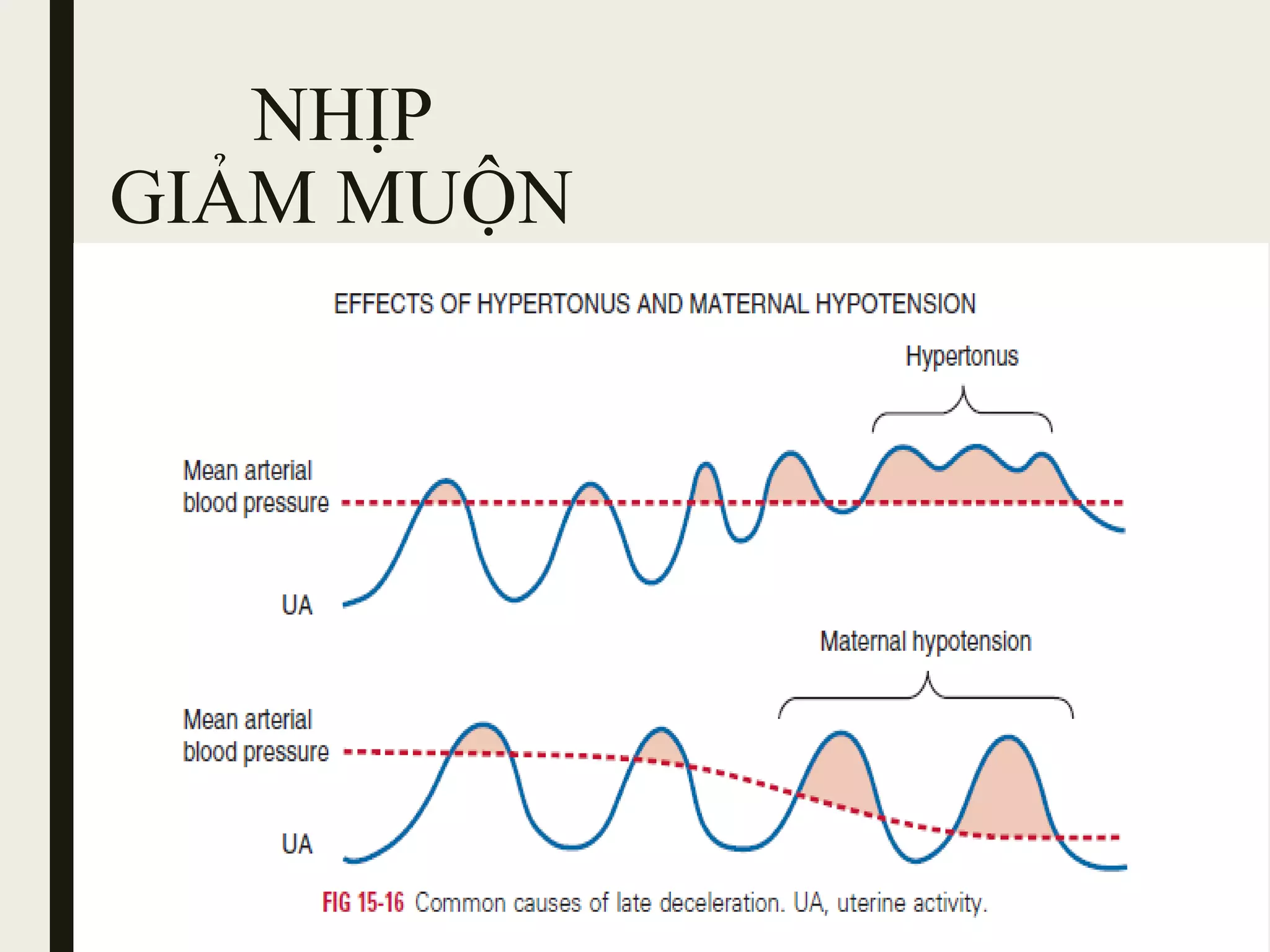SUY THAI CẤP | PDF