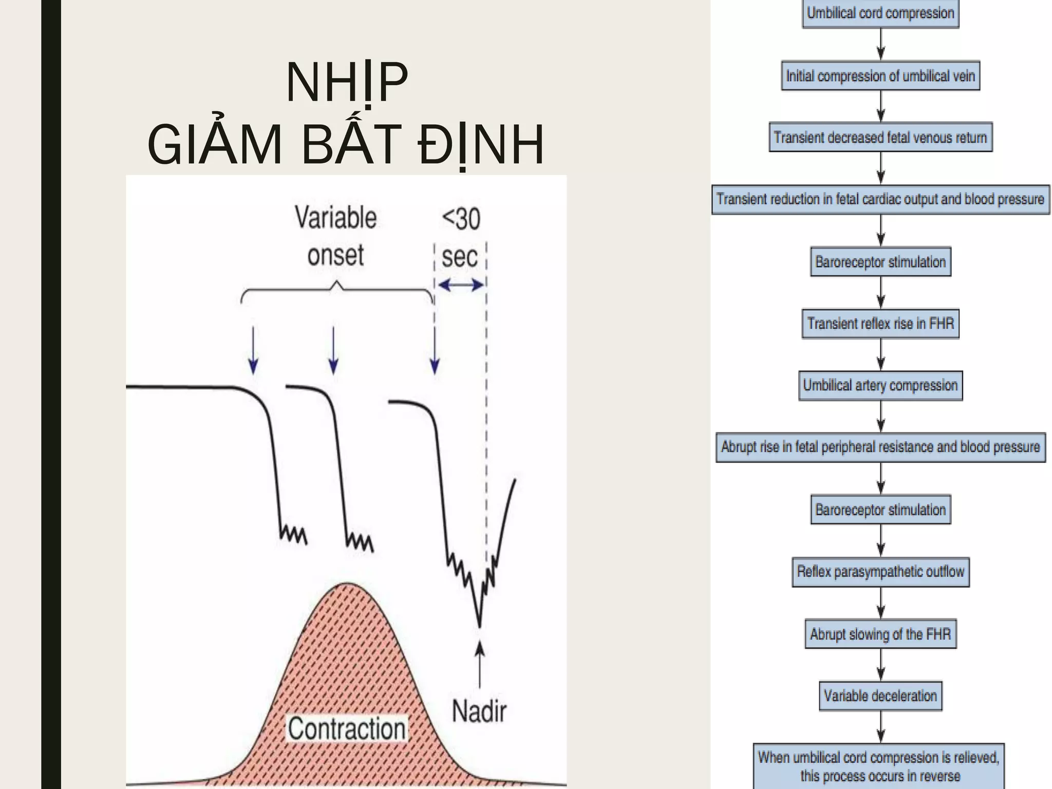 SUY THAI CẤP | PDF