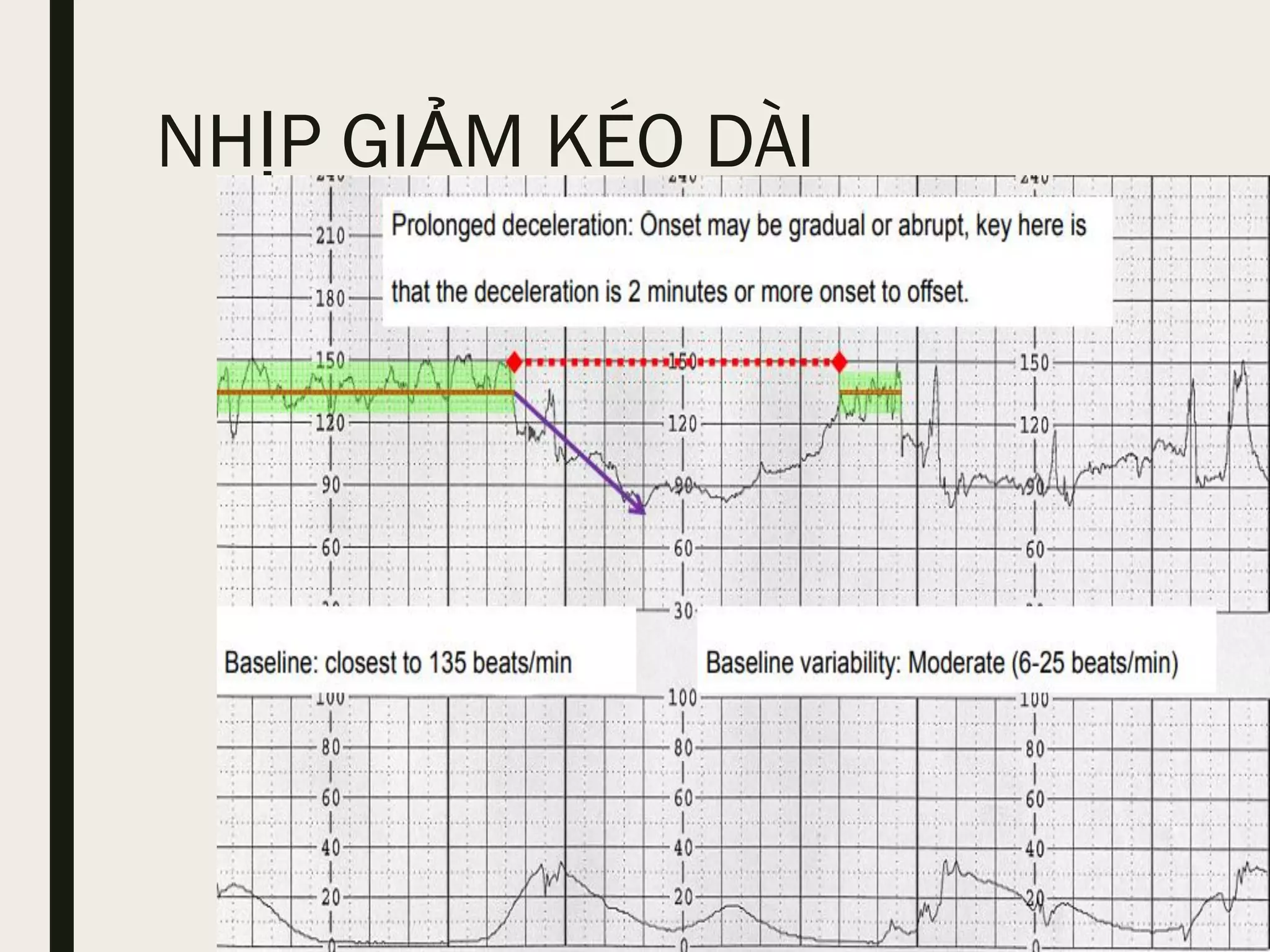 SUY THAI CẤP | PDF