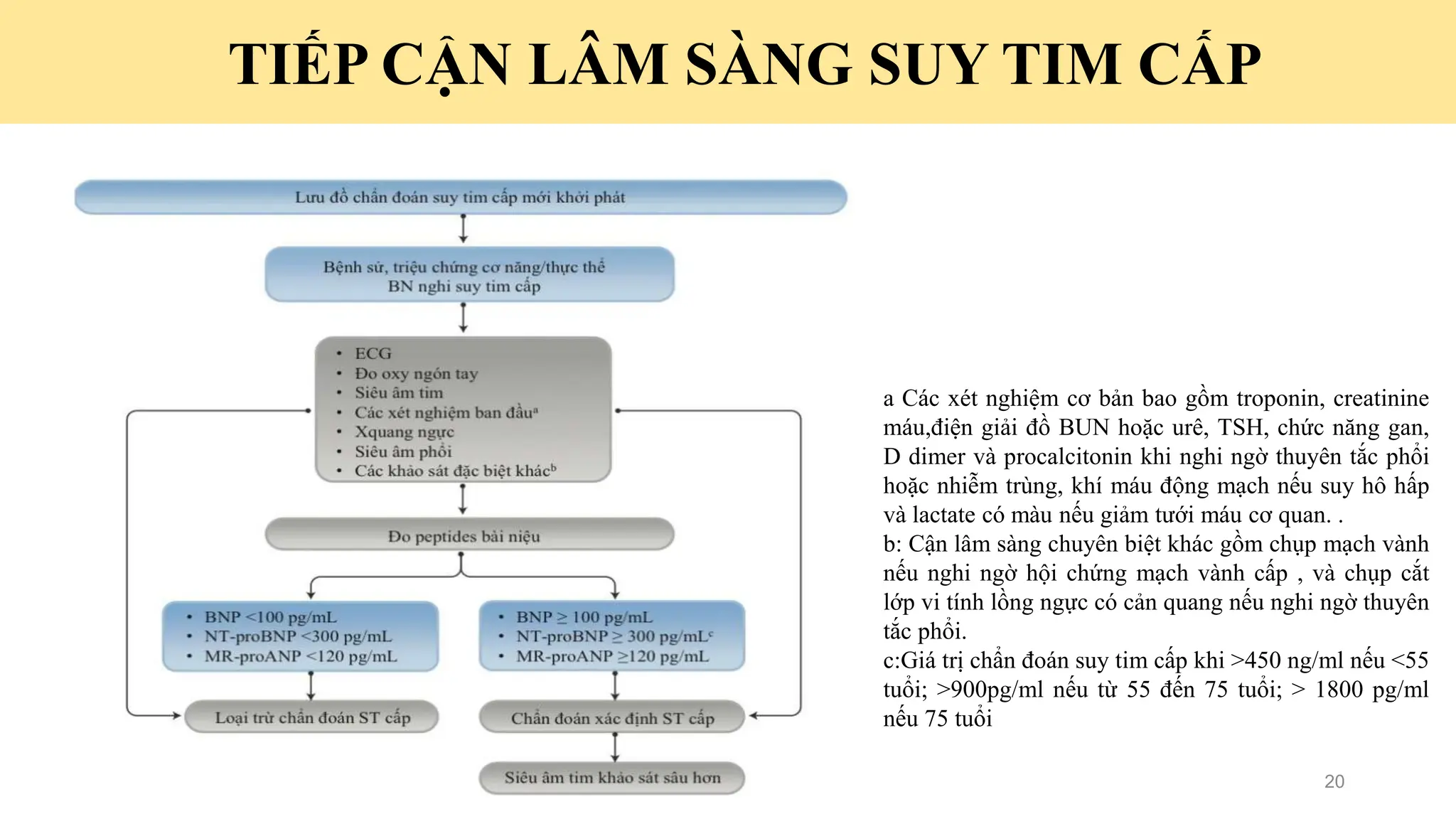 Cập nhật chẩn đoán và điều trị Suy tim cấp 2023 | PPTX