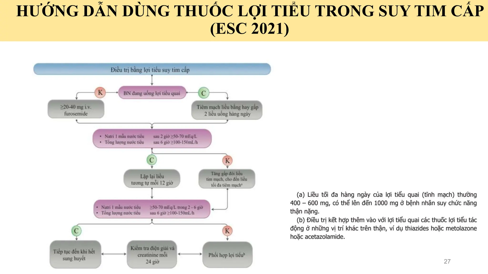 Cập nhật chẩn đoán và điều trị Suy tim cấp 2023 | PPTX