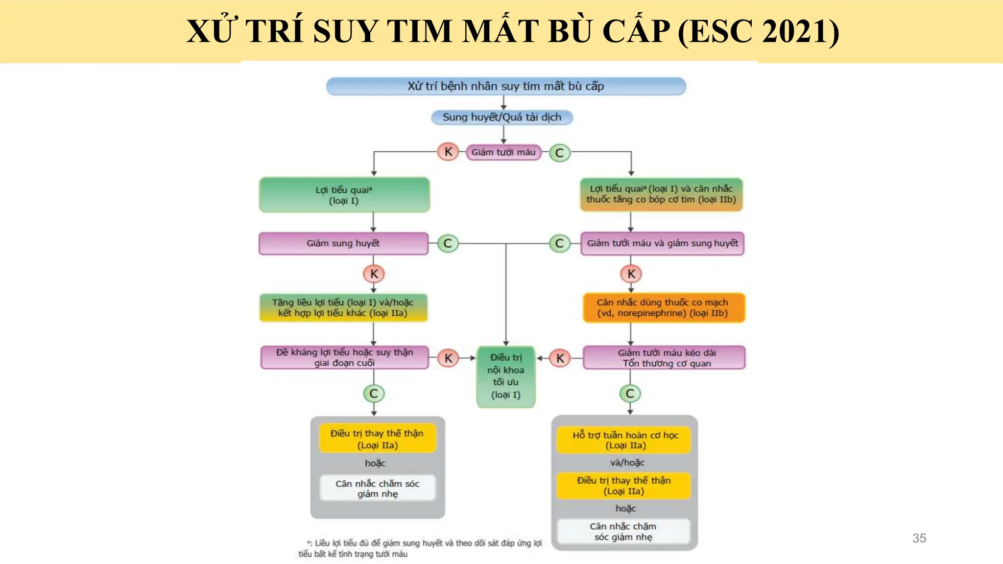 Cập nhật chẩn đoán và điều trị Suy tim cấp 2023 | PPTX