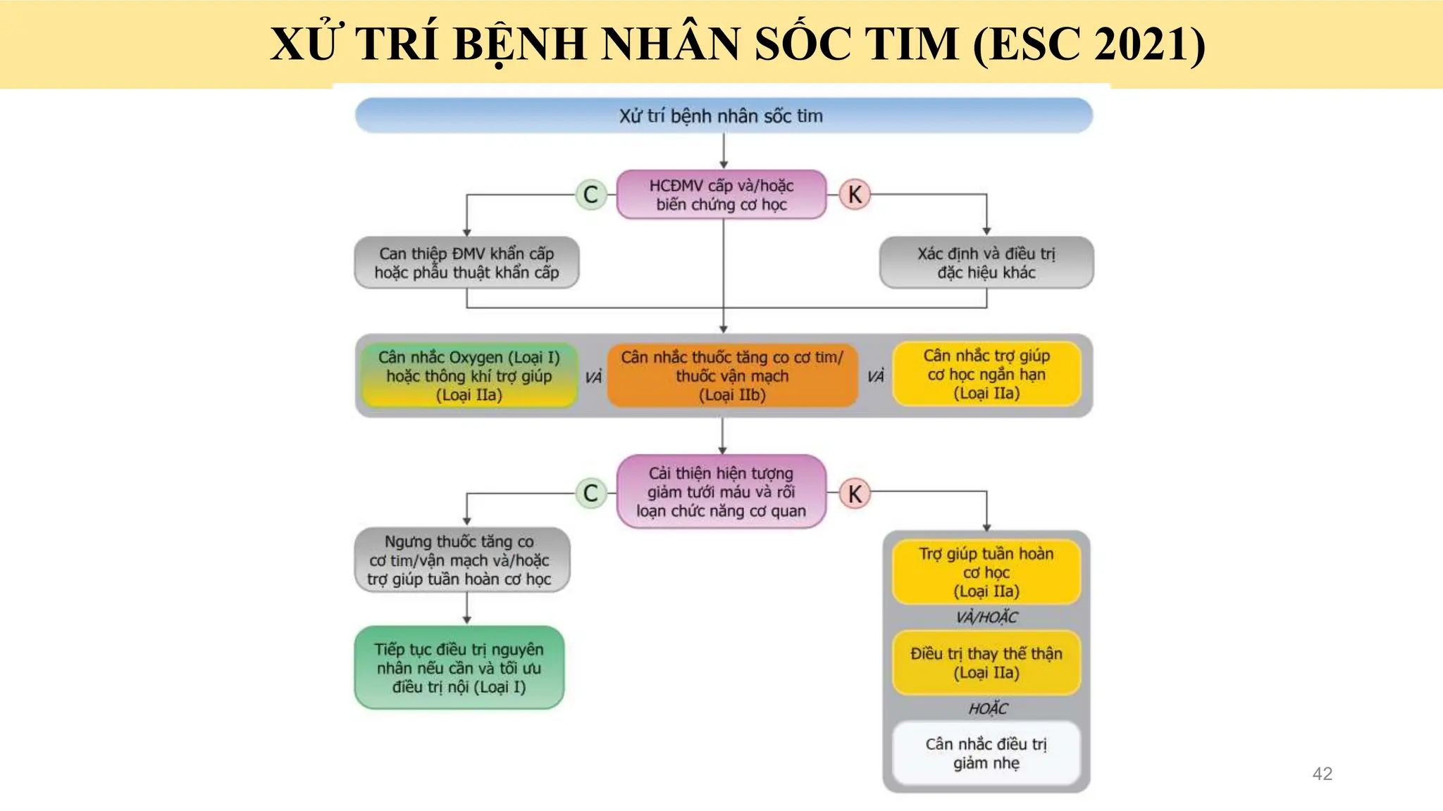Cập nhật chẩn đoán và điều trị Suy tim cấp 2023 | PPTX