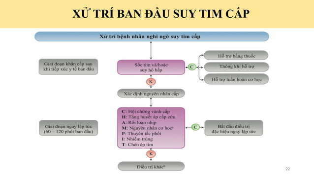 Cập nhật chẩn đoán và điều trị Suy tim cấp 2023 | PPTX