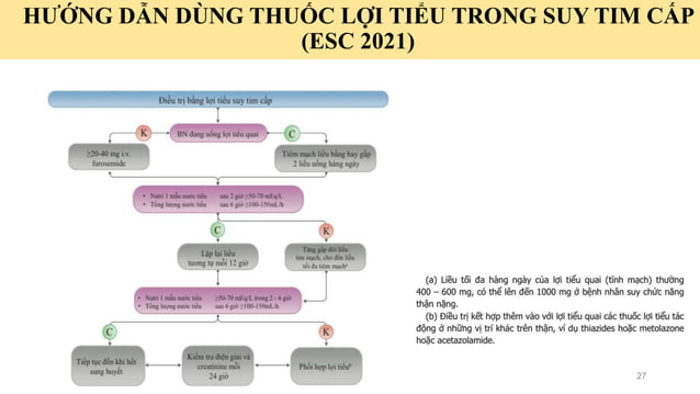 Cập nhật chẩn đoán và điều trị Suy tim cấp 2023 | PPTX
