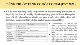Cập nhật chẩn đoán và điều trị Suy tim cấp 2023 | PPTX