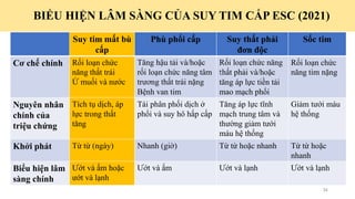 Cập nhật chẩn đoán và điều trị Suy tim cấp 2023 | PPTX