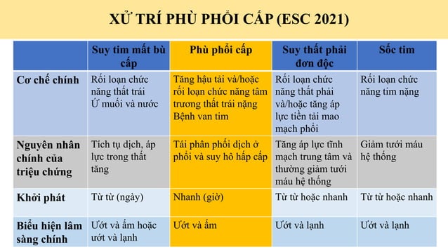 Cập nhật chẩn đoán và điều trị Suy tim cấp 2023 | PPTX