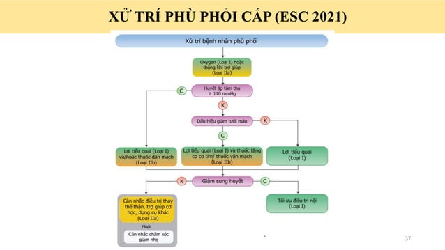 Cập nhật chẩn đoán và điều trị Suy tim cấp 2023 | PPTX