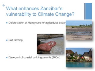 Climate Change Governance in Zanzibar: The Need for Environmental ...