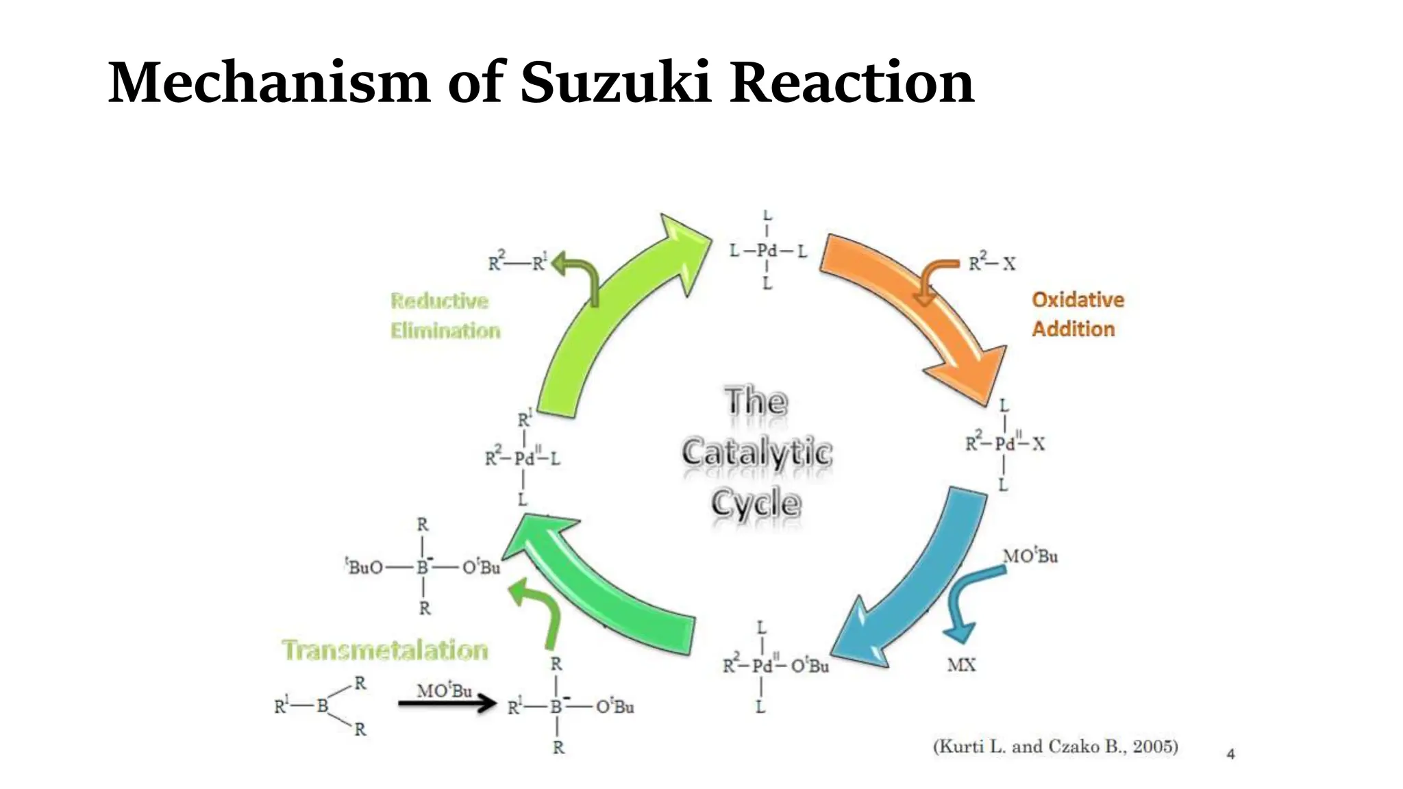 Suzuki Reaction.pptx