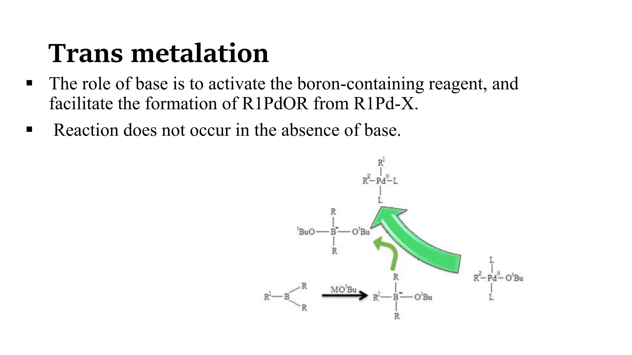 Suzuki Reaction.pptx