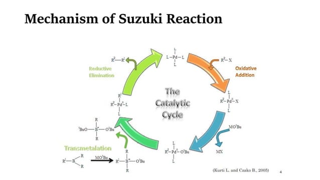 Suzuki Reaction.pptx