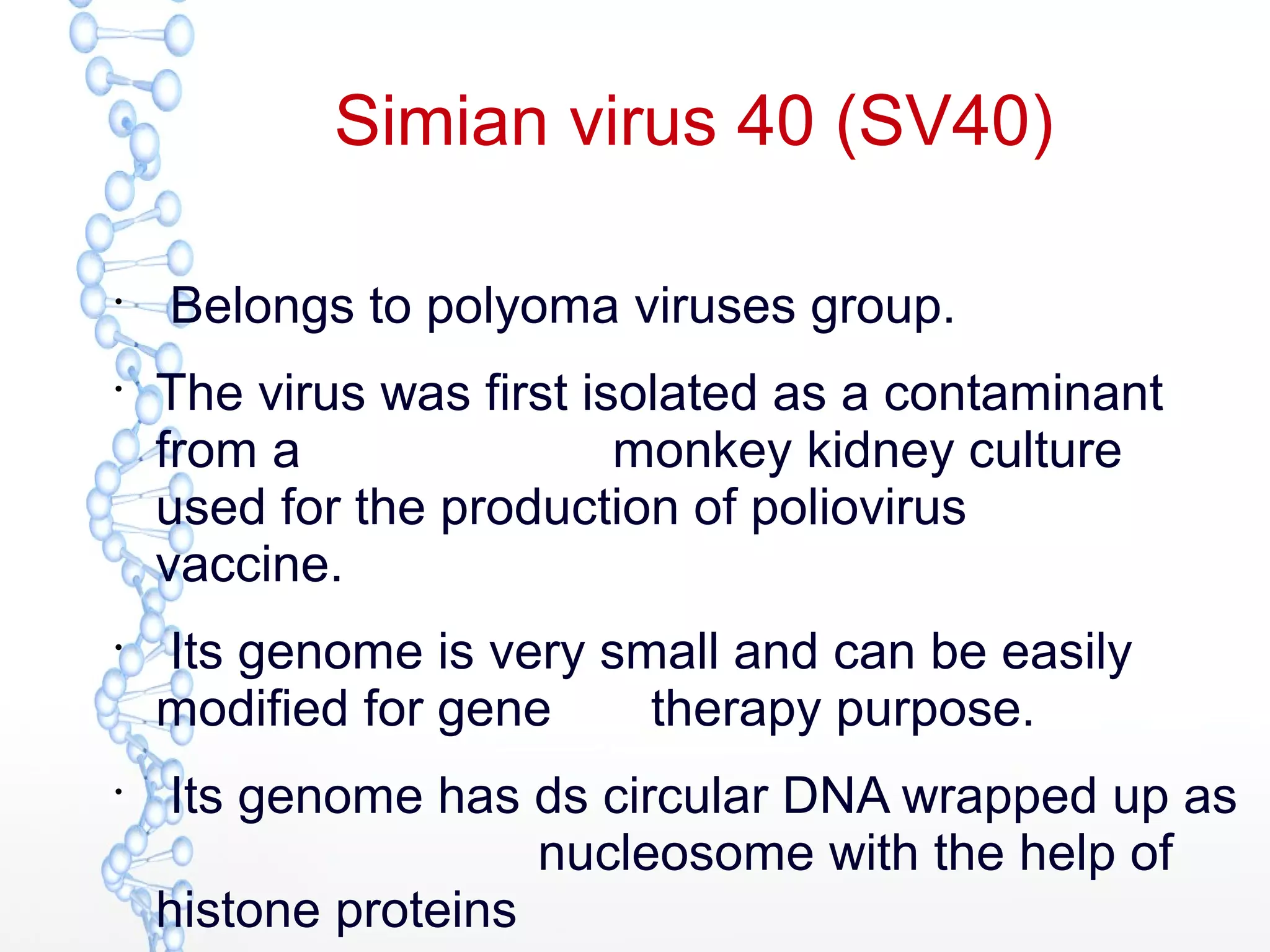 Sv40 virus | PPT